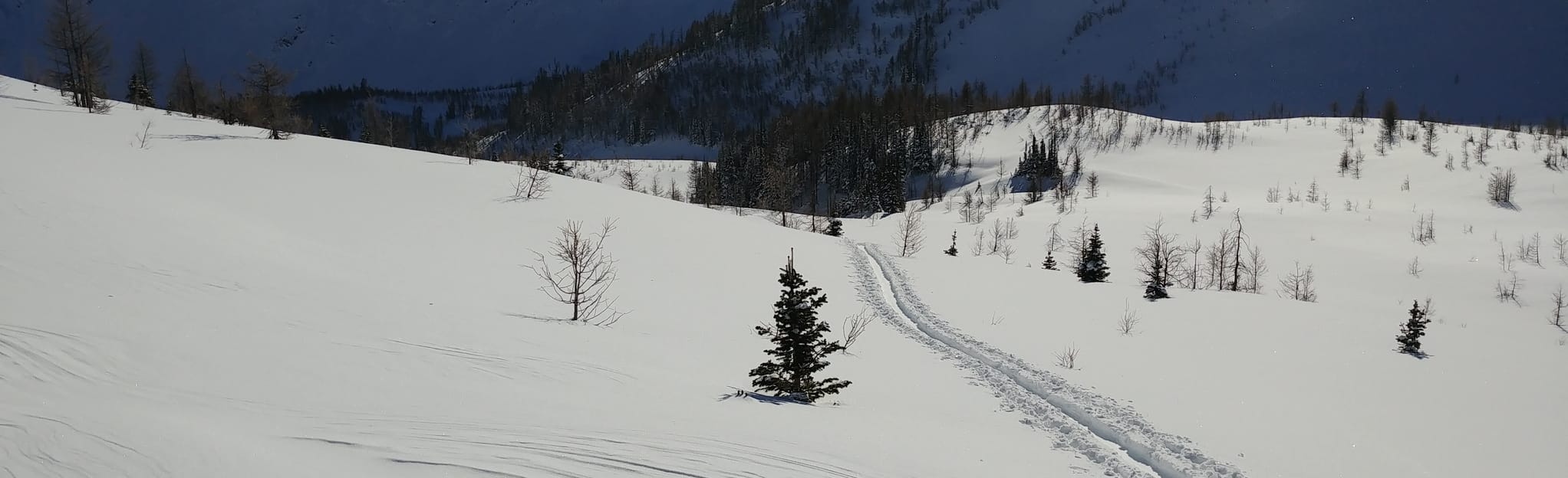 Fossil Ridge Loop via Diana Trail, British Columbia, Canada - 4 Reviews ...