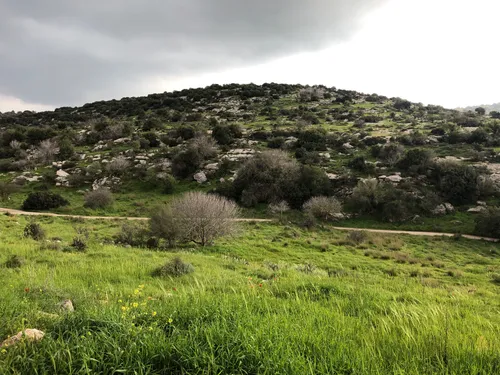 10 Best Wild Flowers Trails in Valley of Elah National Park | AllTrails