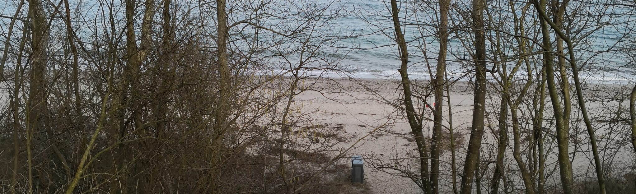 Fløjstrup-bos: 21 foto's - Central Denmark, Denemarken | Wandelen ...