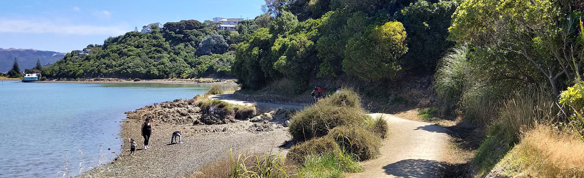 Camborne Walkway, Wellington, New Zealand - 29 Reviews, Map | AllTrails