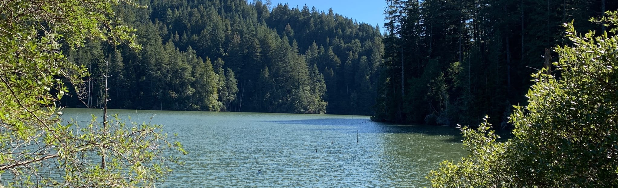 Kent Lake via Manzanita Fire Road and San Geronimo Ridge Road Loop: 84 ...