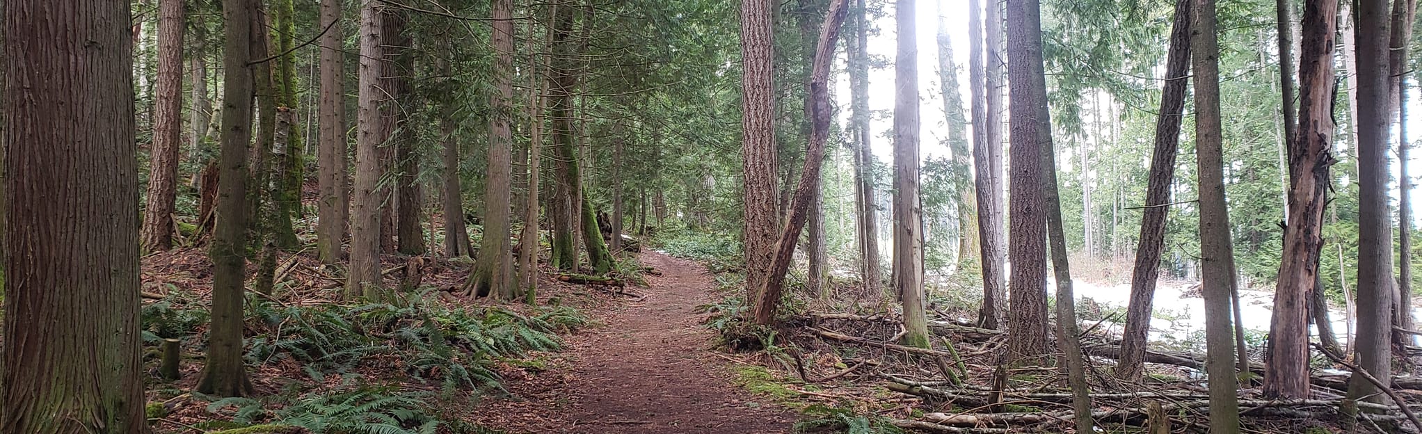 Copley Ridge, Robinson's Reach and Hekka Canyon Trail Loop: 24 Reviews ...