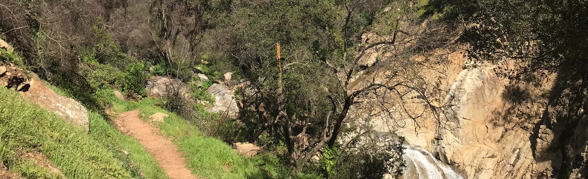 Cold Spring Trail Loop: 1,753 Reviews, Map - California | AllTrails