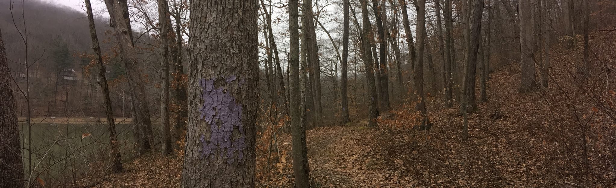 Lake Rim, Mitchell Ridge, and Buckeye Trail Loop, Ohio - 48 Reviews ...