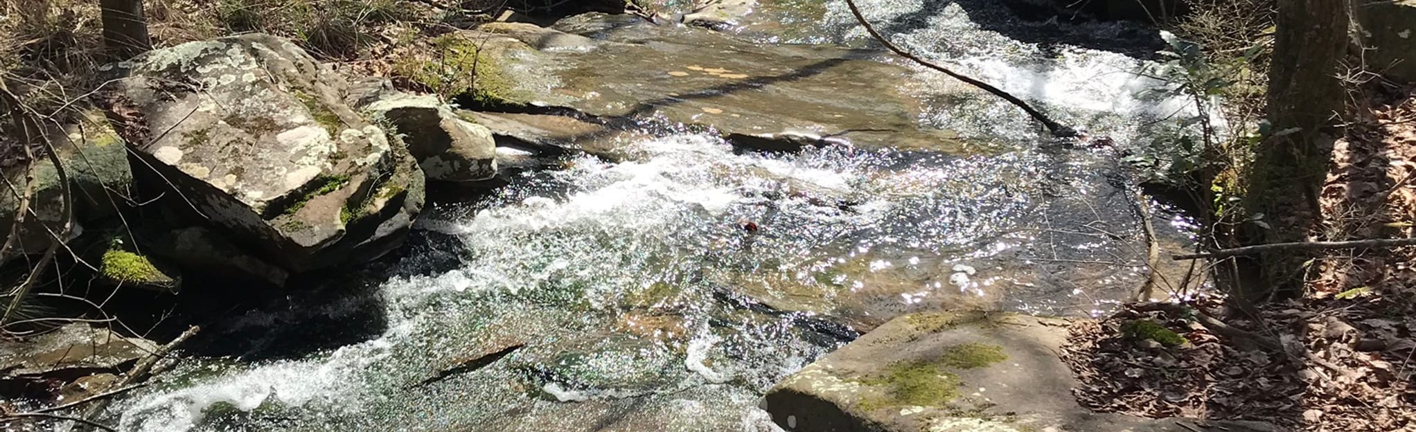 Moss Rock Preserve: White and Red Trail Loop: 90 Reviews, Map - Alabama ...