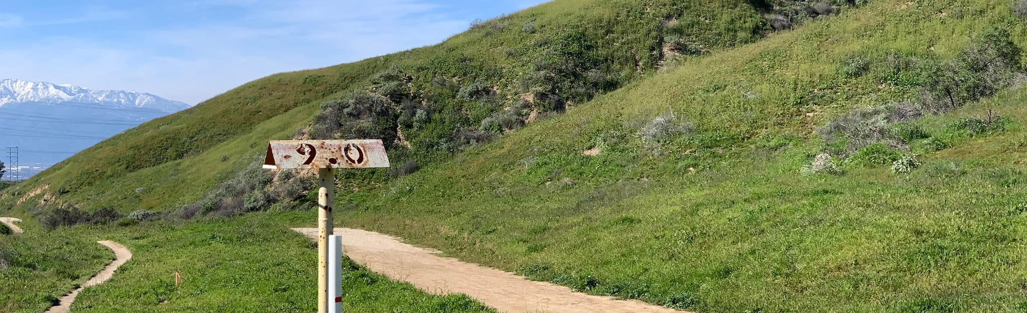 Razor Ridge Trail and Canyon Road Loop, California - 718 Reviews, Map ...