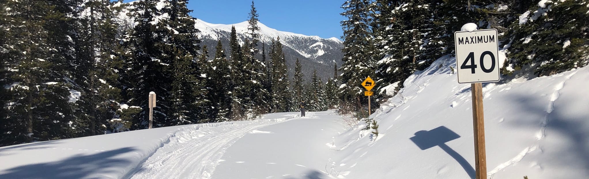 Mount Edith Cavell Road (Winter Trail) [CLOSED], Alberta, Canada - 218 ...