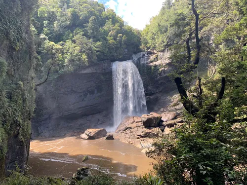 Best Waterfall Trails in Hector | AllTrails