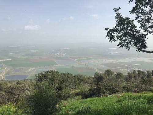 Best Hikes and Trails in Gilboa Forest | AllTrails