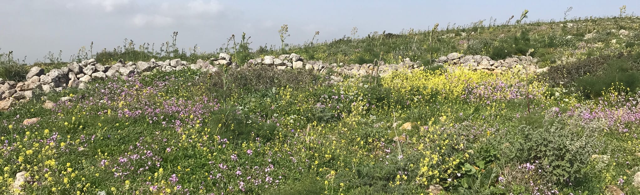 Iris Path to Mount Barqan | Map, Guide - Northern District HaZafon ...