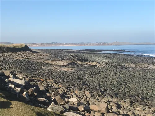 Best Trails, Walks, and Paths in Seahouses | AllTrails