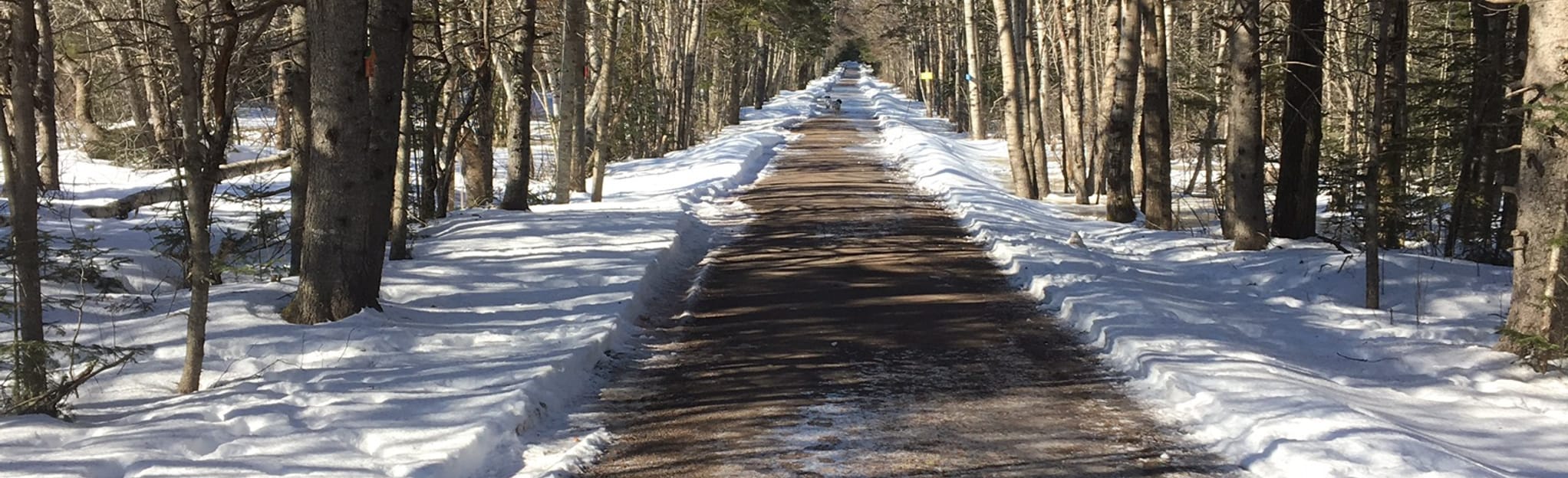 Cocagne Trail, New Brunswick, Canada - 53 Reviews, Map | AllTrails