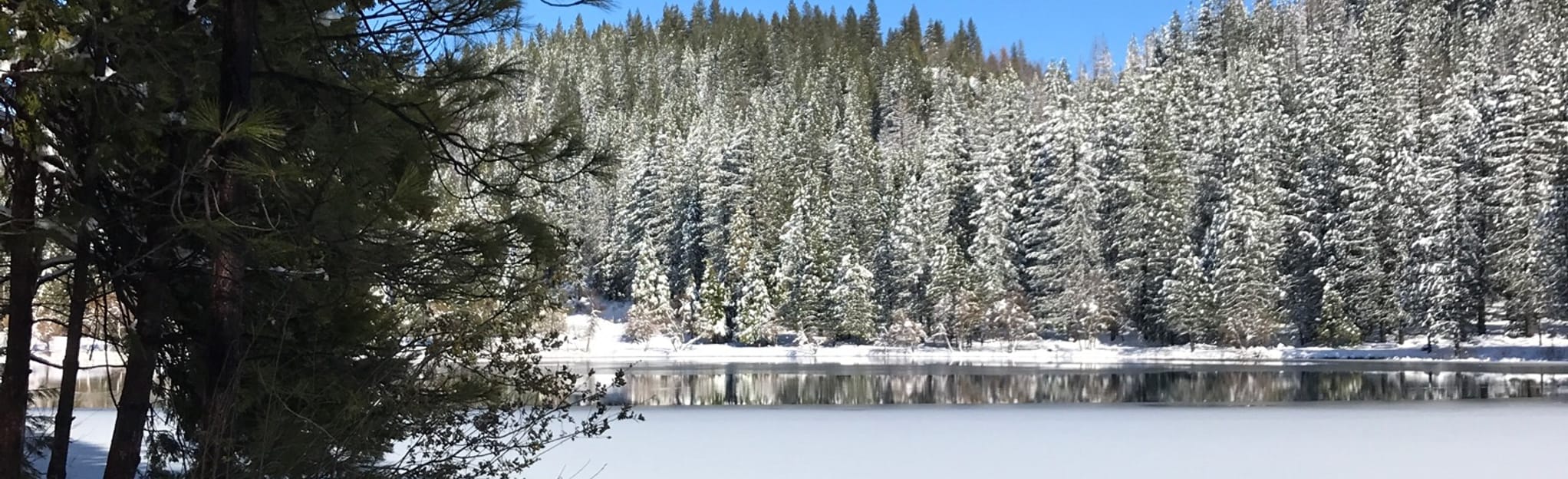 White Pines Lake, California - 63 Reviews, Map | AllTrails