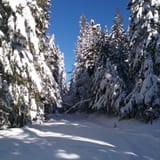 Palouse Divide to Lane's Lookout, Idaho - 23 Reviews, Map | AllTrails