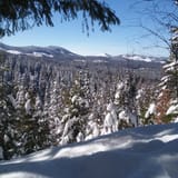 Palouse Divide to Lane's Lookout, Idaho - 23 Reviews, Map | AllTrails