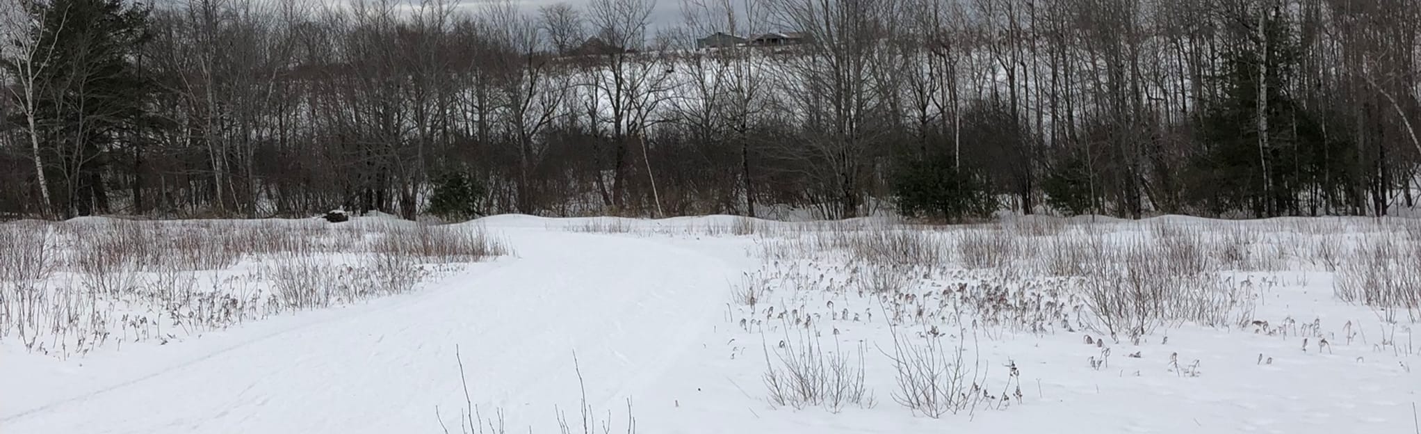 Lost Valley Lodge Trail - Maine | AllTrails