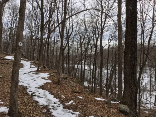 Best Forest Trails in Highland | AllTrails