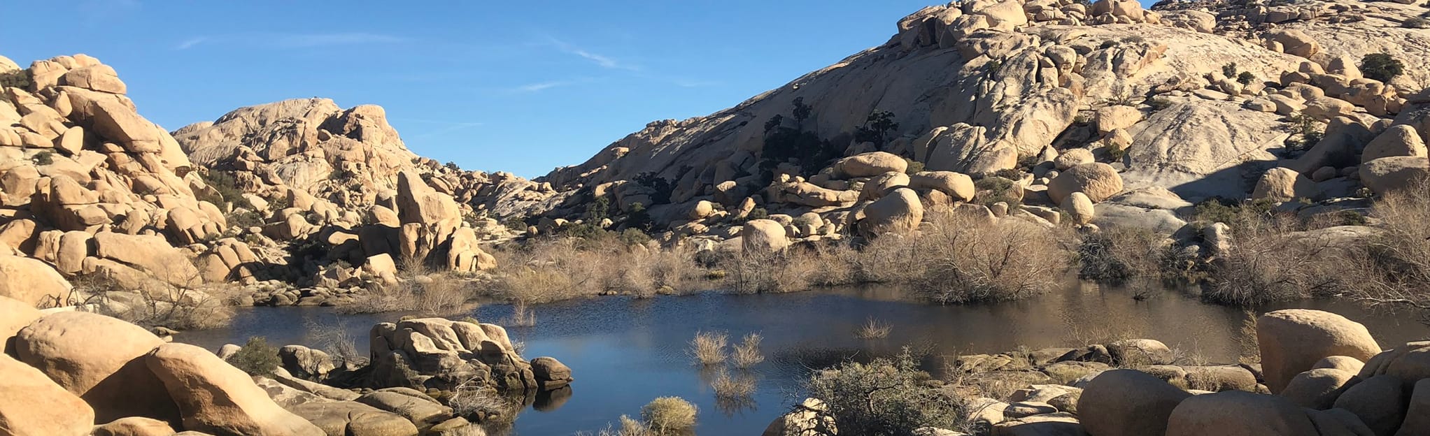 Barker Dam via Keys Ranch Road and Barker Dam Trail: 357 Reviews, Map ...