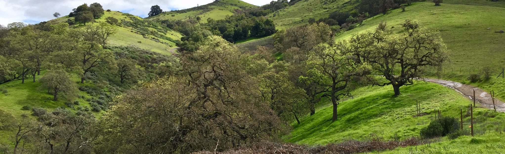 Bay Area Ridge Trail: Santa Teresa County Park and Calero/Los Alamitos ...