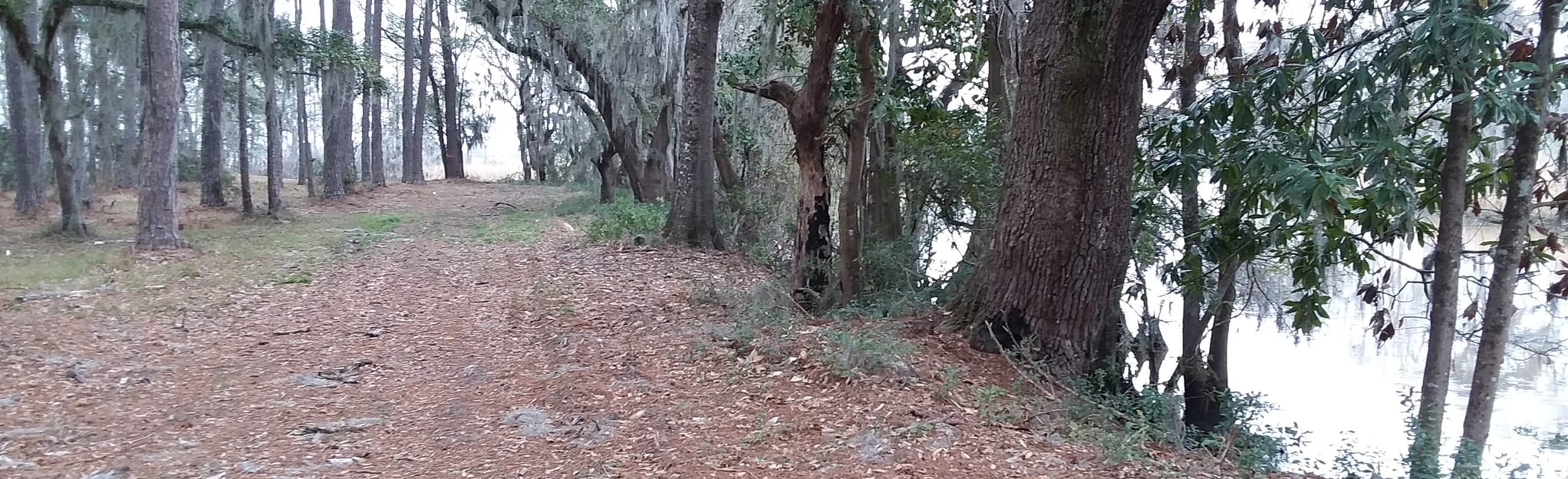 Samworth WMA Nature Trail, South Carolina - 17 Reviews, Map | AllTrails