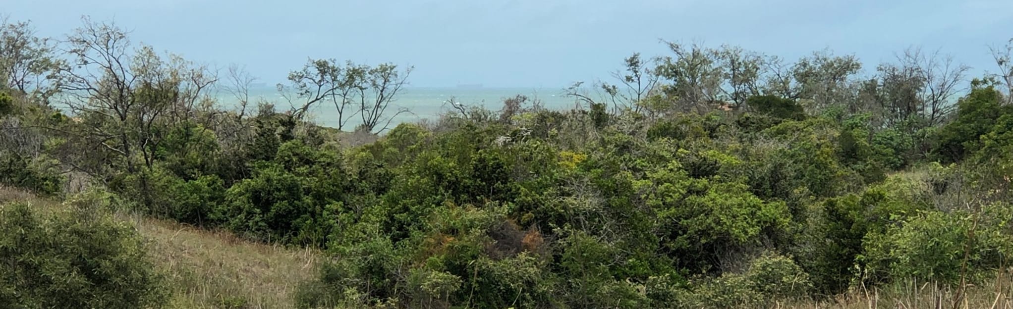 Slade Point Track - Queensland, Australia | AllTrails