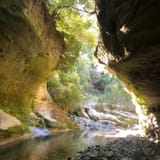 Patuna Chasm Walk, Wellington, New Zealand - 29 Reviews, Map | AllTrails