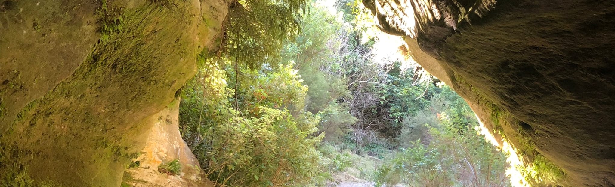 Patuna Chasm Walk, Wellington, New Zealand - 20 Reviews, Map | AllTrails