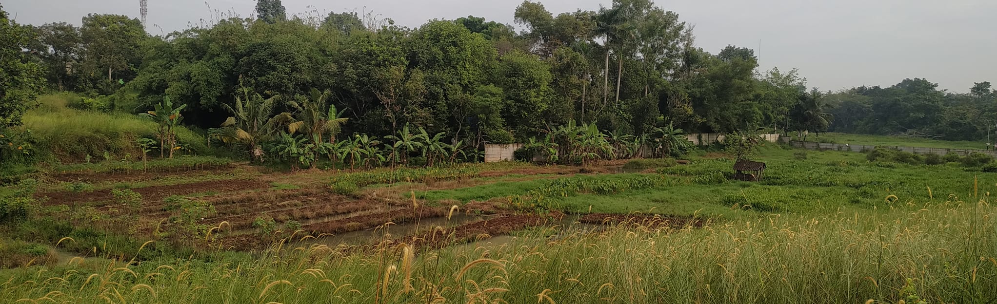 Lengkong Gudang Timur Raya MTB Park: 38 foto's - Bantam, Indonesië ...