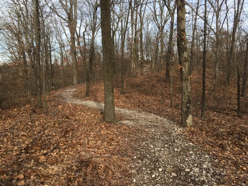 Best Hikes and Trails in Holly Ridge Conservation Area | AllTrails