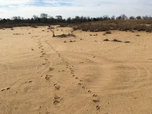 Best Hikes and Trails in Sand Prairie Conservation Area | AllTrails