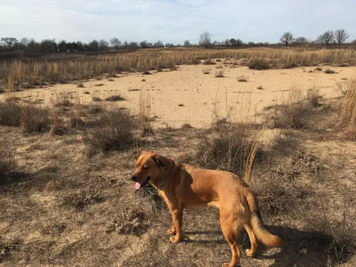 Best Hikes and Trails in Sand Prairie Conservation Area | AllTrails