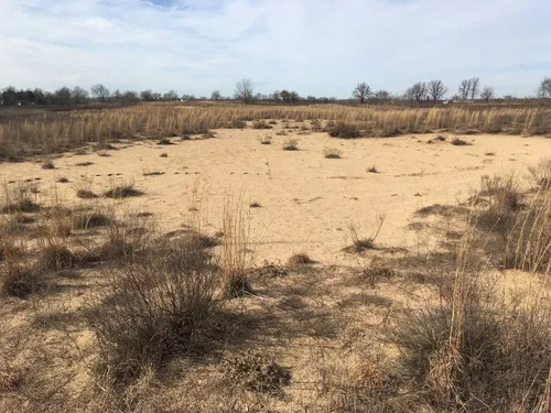 Best Hikes and Trails in Sand Prairie Conservation Area | AllTrails