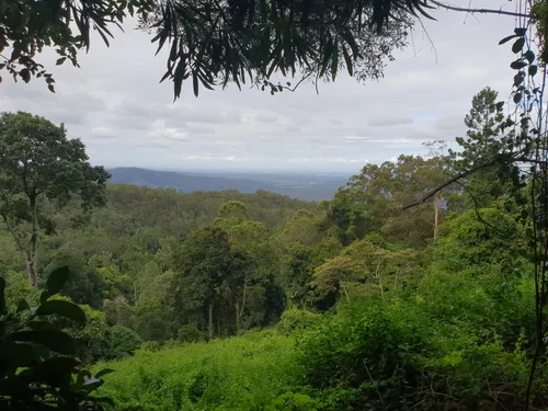 10 Best Hikes and Trails in D’Aguilar National Park | AllTrails
