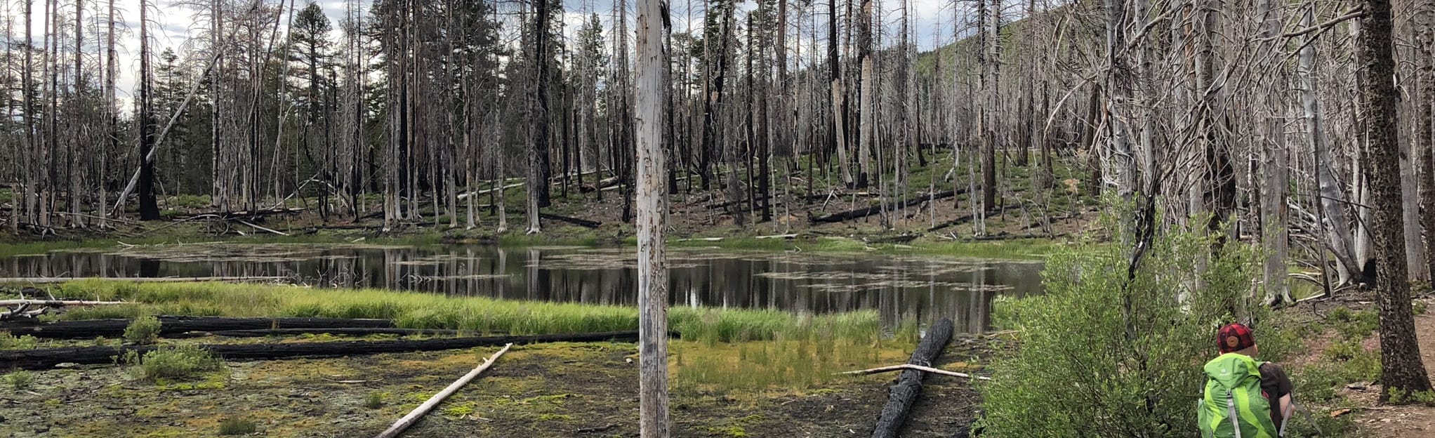 Barrett Lake-Lake Eiler Loop Trail: 13 Reviews, Map - California ...