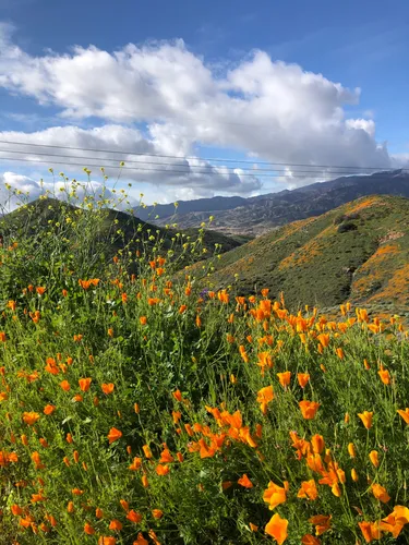 Best Hikes and Trails in Walker Canyon Ecological Reserve | AllTrails