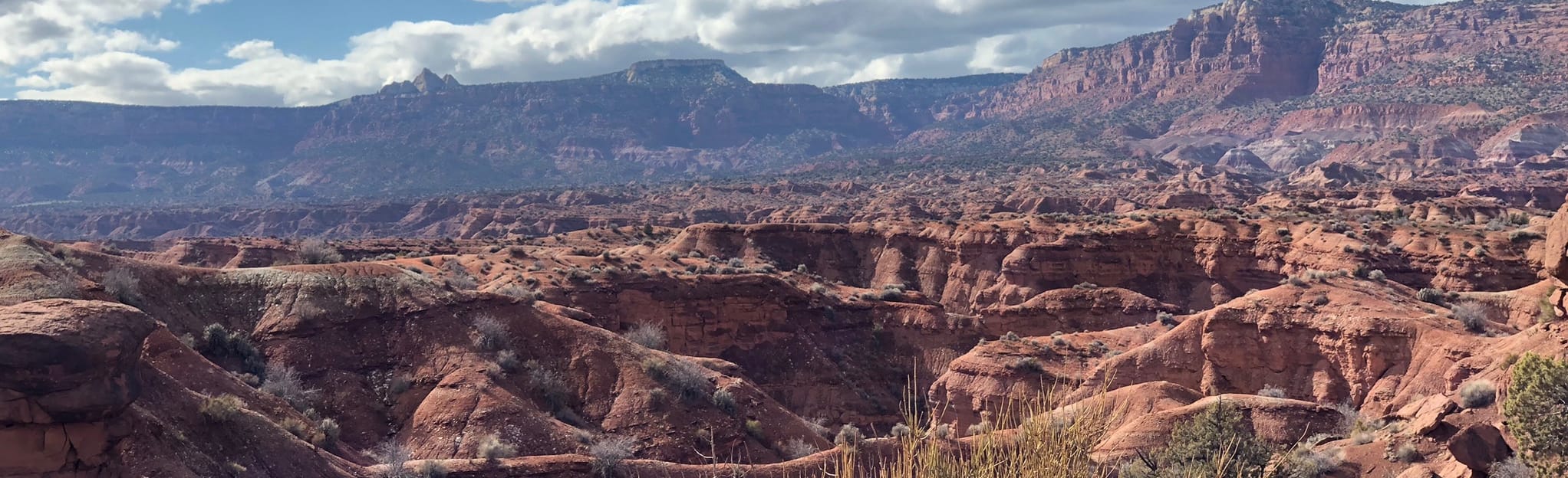 Paria River Valley Trail, Utah - 69 Reviews, Map | AllTrails