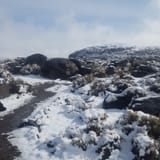 Grimes Point Petroglyphs, Nevada - 72 Reviews, Map | AllTrails