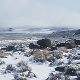 Grimes Point Petroglyphs, Nevada - 72 Reviews, Map | AllTrails