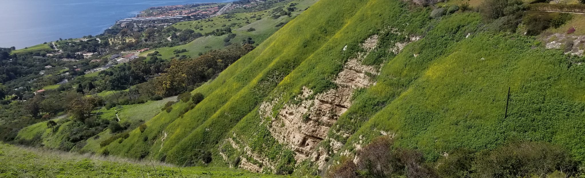Burma Road, Peacock Flats and Ishibashi Trail Loop [CLOSED], California ...