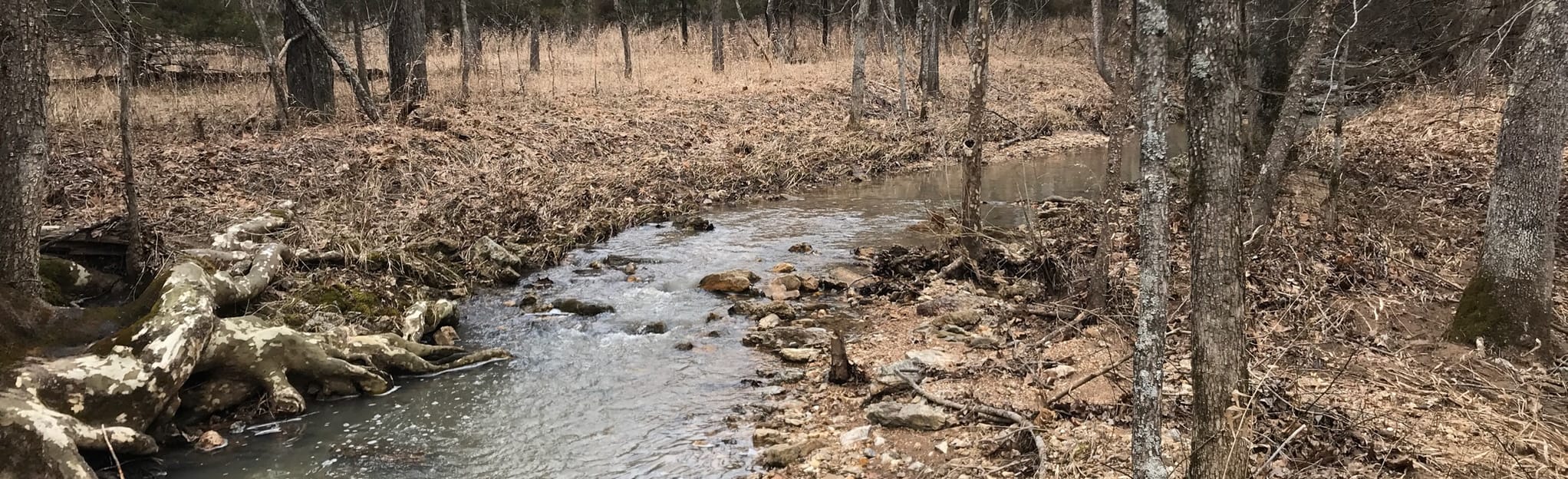 Lake of the Ozarks Woodland Trail: 140 Reviews, Map - Missouri | AllTrails