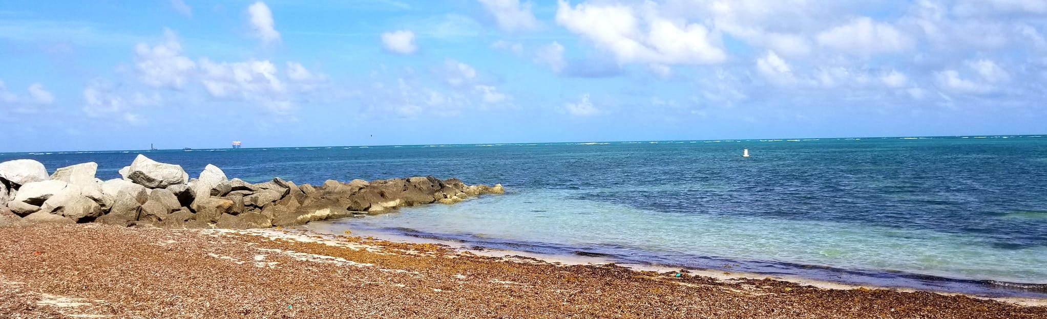 Historic Virginia Key Beach Loop, Florida - 31 Reviews, Map | AllTrails