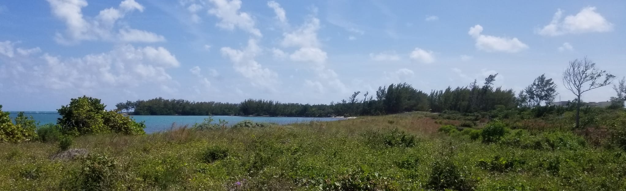 Virginia Key Trail, Florida - 1,264 Reviews, Map | AllTrails