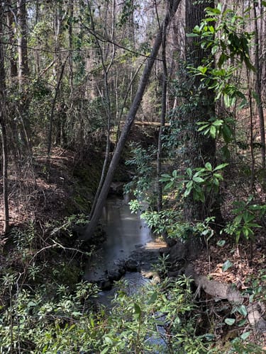 2023 Best 10 Trails and Hikes in Tyler | AllTrails