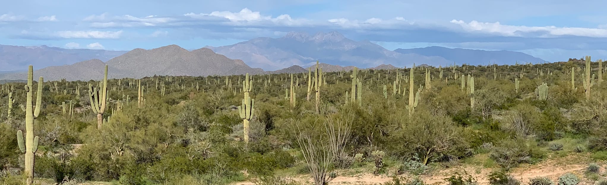 Hawes Big Loop, Arizona - 19 Reviews, Map | AllTrails