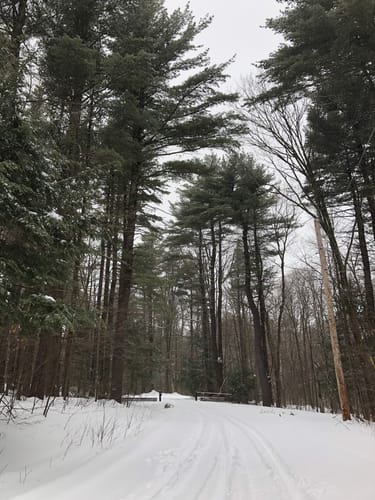 Best Hikes and Trails in Daughter of the American Revolution (D.A.R ...