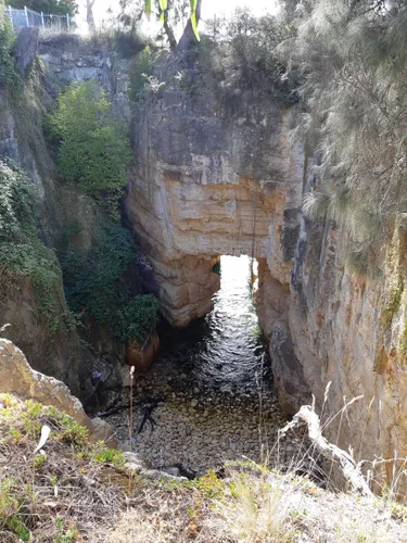 Best Hikes and Trails in Mary Knoll Reserve | AllTrails