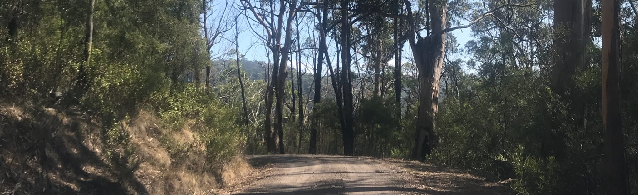 Lorne Waterfalls - The Canyon, Castle Rock, and Sharps Track Loop ...