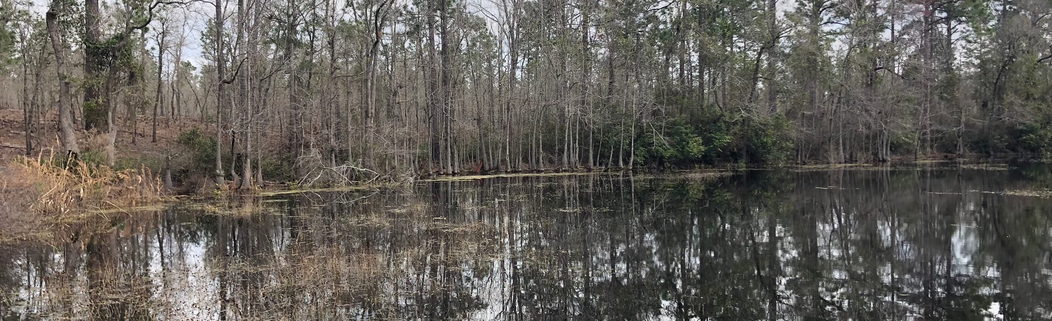 AllTrails | Ohoopee Dunes WMA Interpretive Trail: 9 Reviews, Map - Georgia