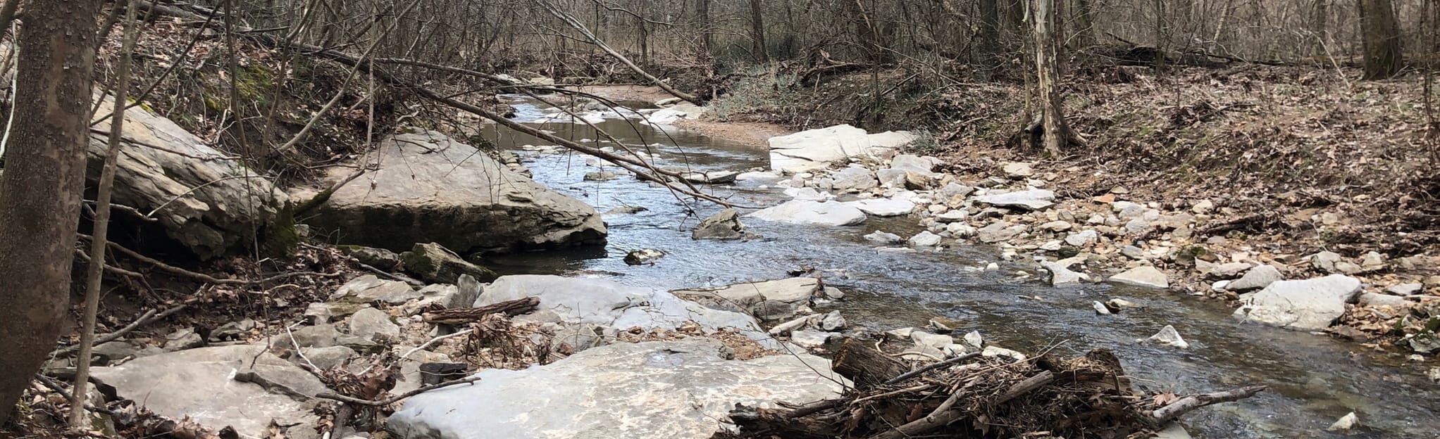 Seventysix Loop, Missouri - 61 Reviews, Map | AllTrails