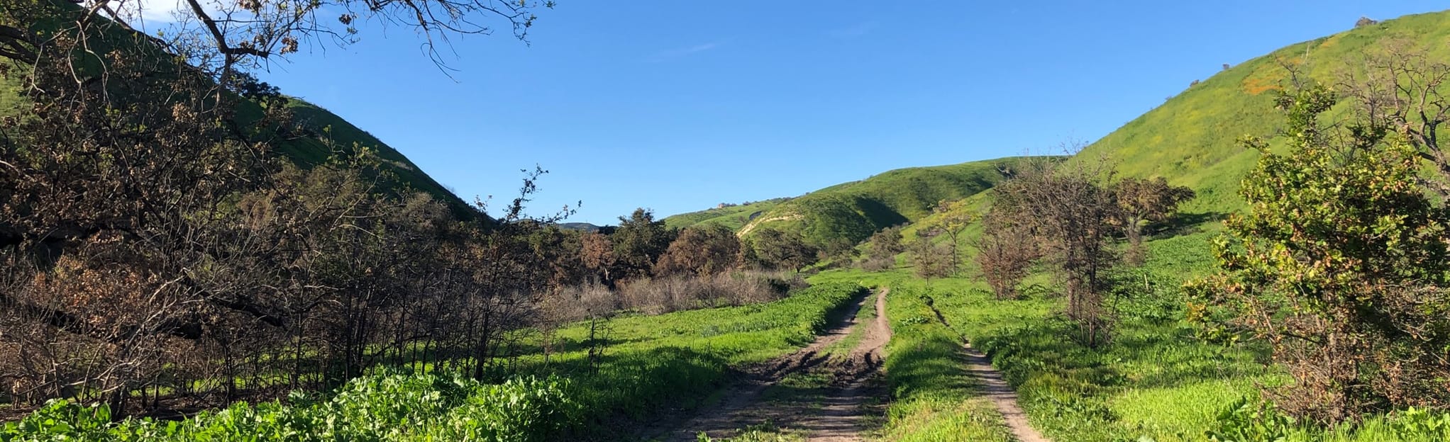 Cheeseboro Canyon and Modelo Trail Loop | Map, Guide - California ...
